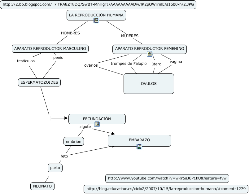 TIC_Cmaps_REPRODUCCIÓN HUMANA